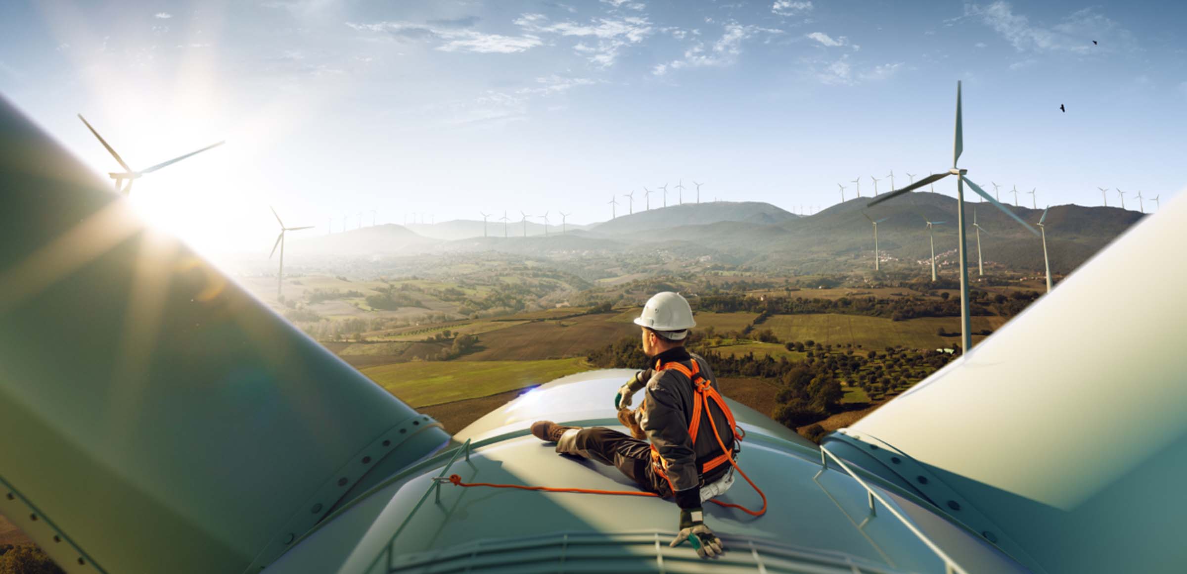 Who we are, our goals and strategy | Enel.it