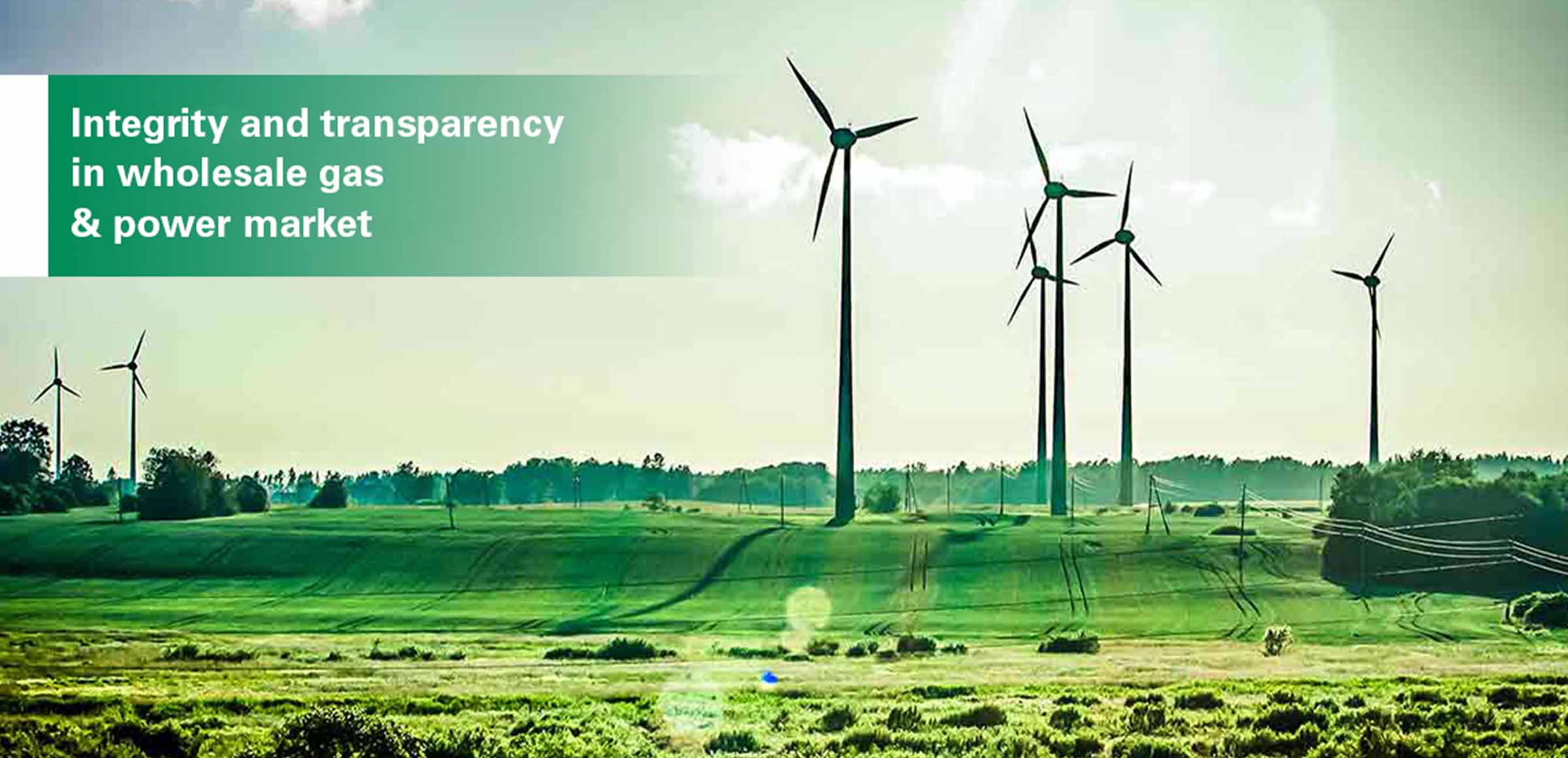 Enel aligns with Remit regulation